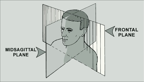 Common Occlusion Terms Every Dental Lab Technician Must Know